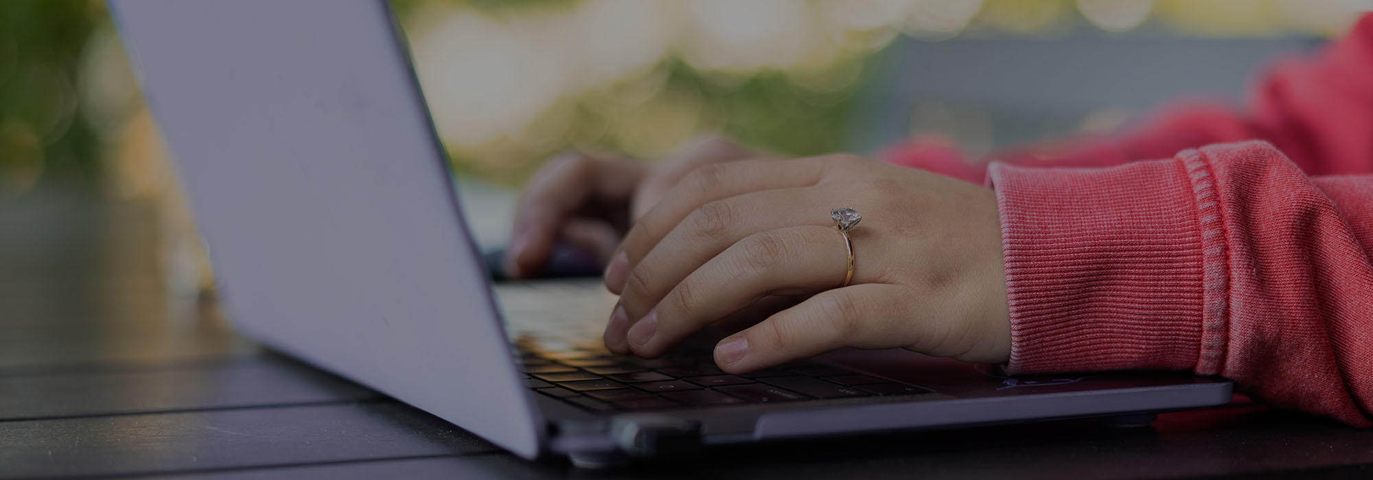 Online Study • North Greenville University