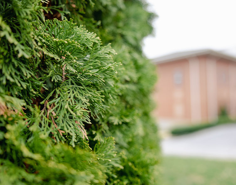 Submitting Maintenance Requests • North Greenville University